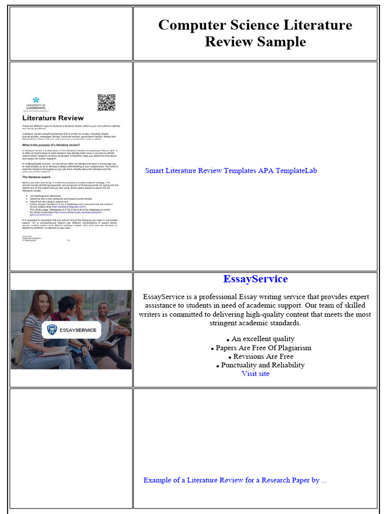 Computer Science Literature Review Sample | PDF | Essays | Plagiarism