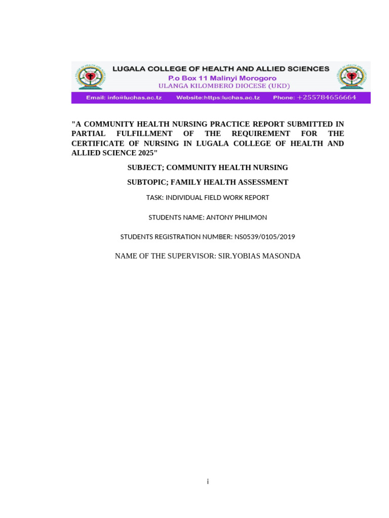 Family Health Assessment Report 2025 | PDF | Hand Washing | Urinary ...