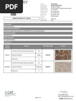 Breast Biomarker Testing Template 2023 | PDF | Immunohistochemistry ...