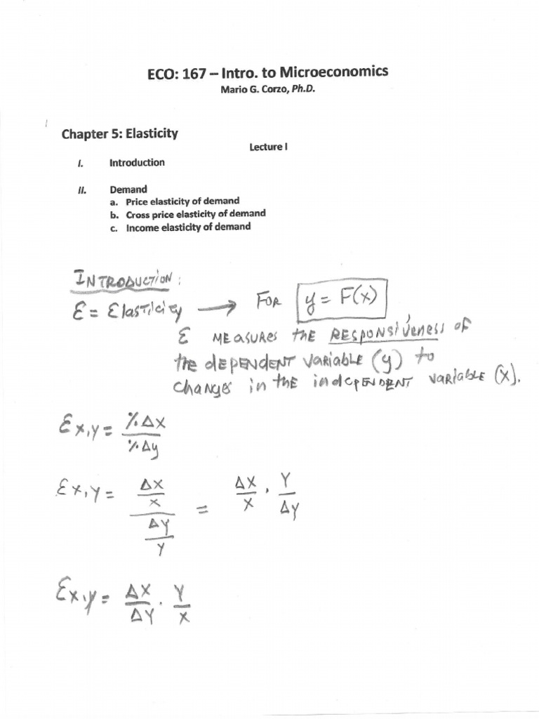 Chapter 5 Elasticity Lecture | PDF