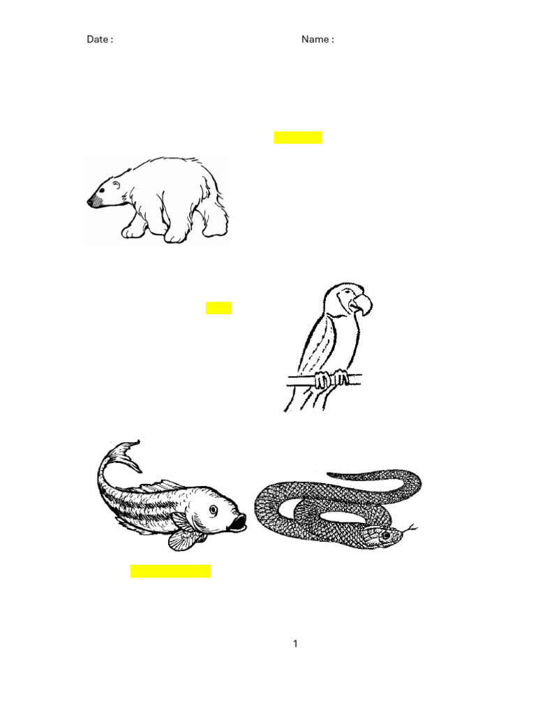 Grade 1 Animal Characteristics Review | PDF | Amphibian | Reptile