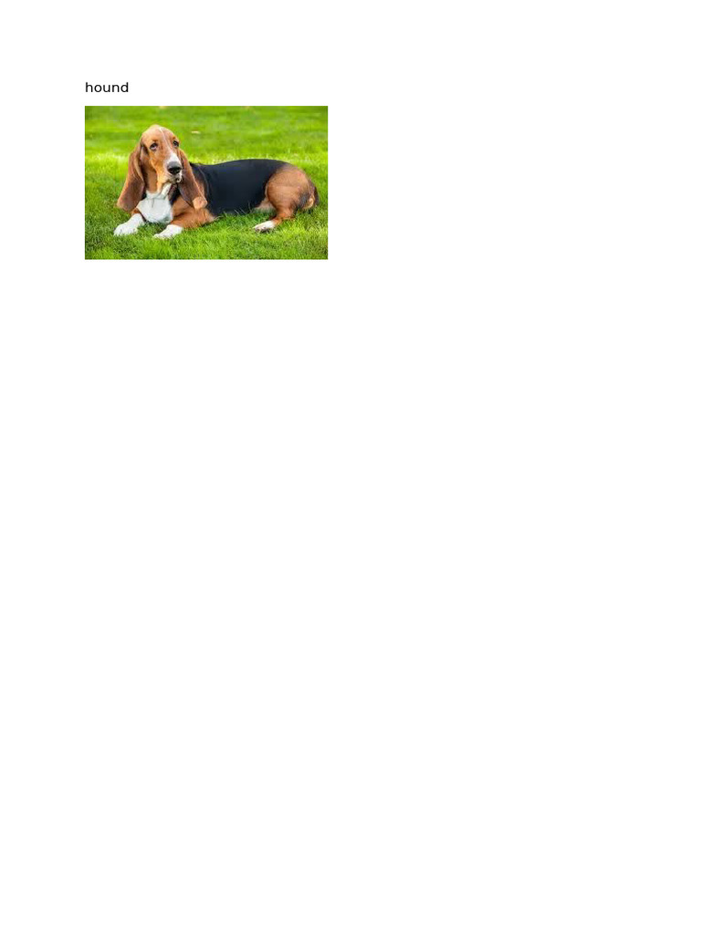 Hound | PDF