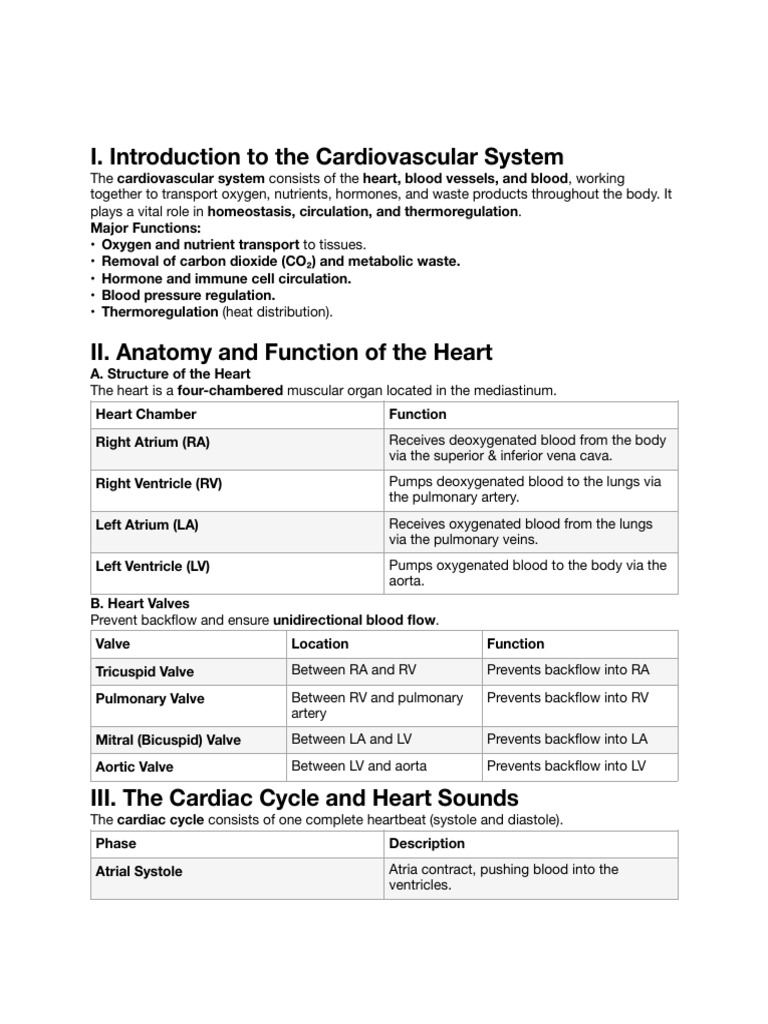 I. Introduction To The Cardiovascular System 2 | PDF | Heart | Heart Valve