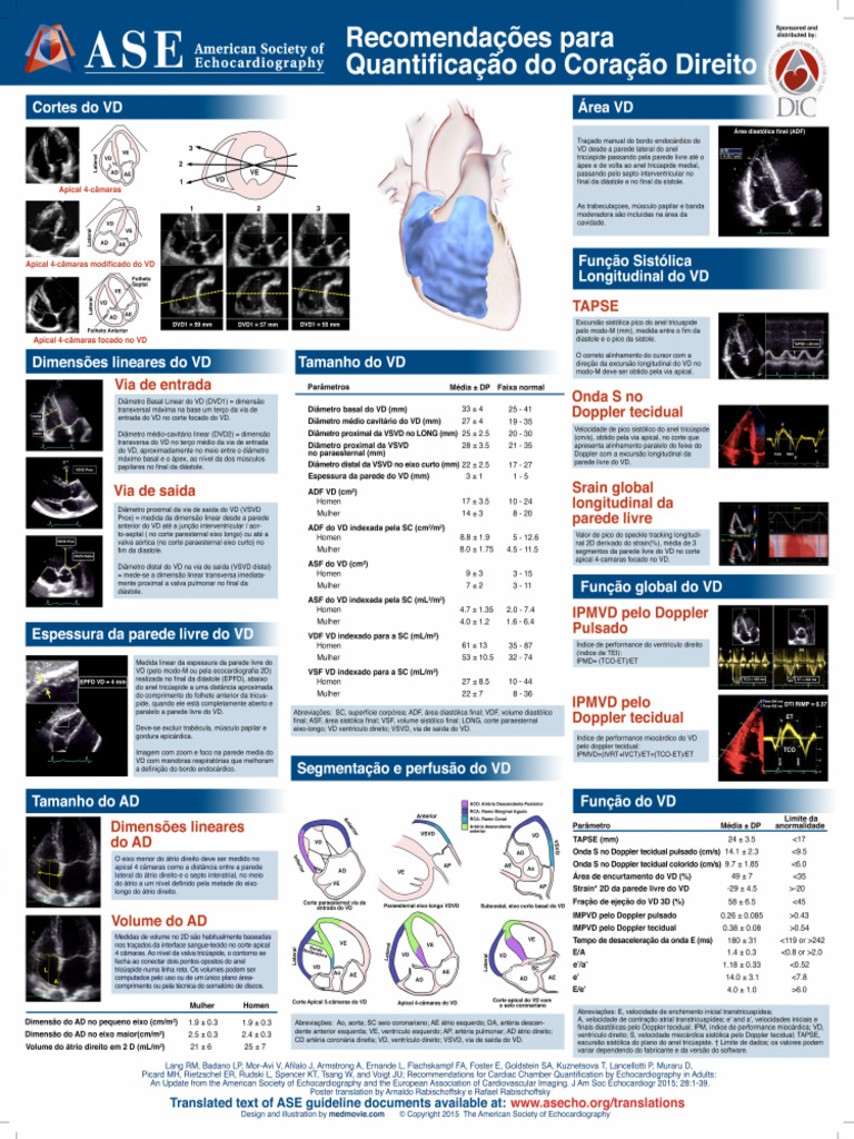 Poster Medidas VD | PDF