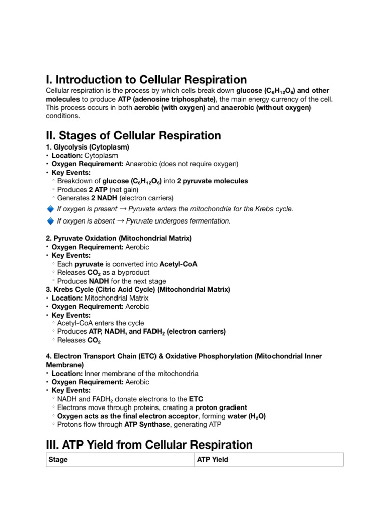 Cellular Respiration: Process & Stages | PDF | Cellular Respiration ...