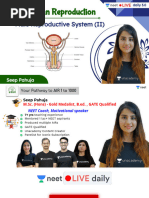 Bull Reproductive System Anatomy & Physiology | PDF | Testicle ...