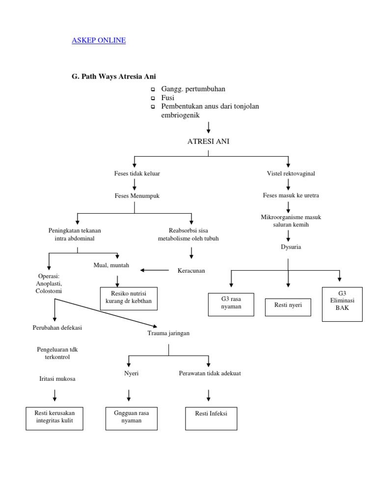 Pathway Atresia An I | PDF | Gaya Hidup