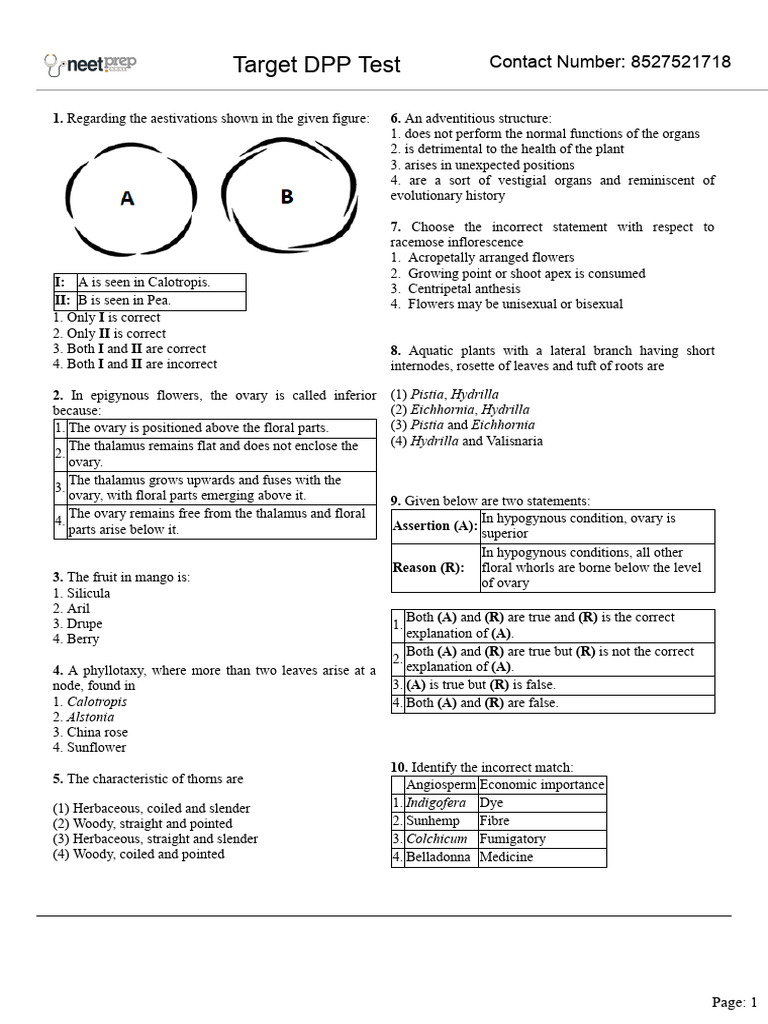 Morphology of Flowering Plants DPP1 | PDF | Fruit | Botany