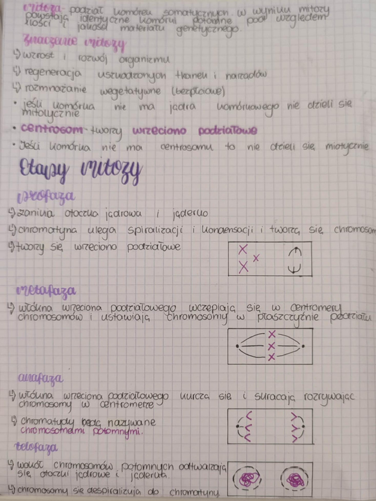Notatka | PDF