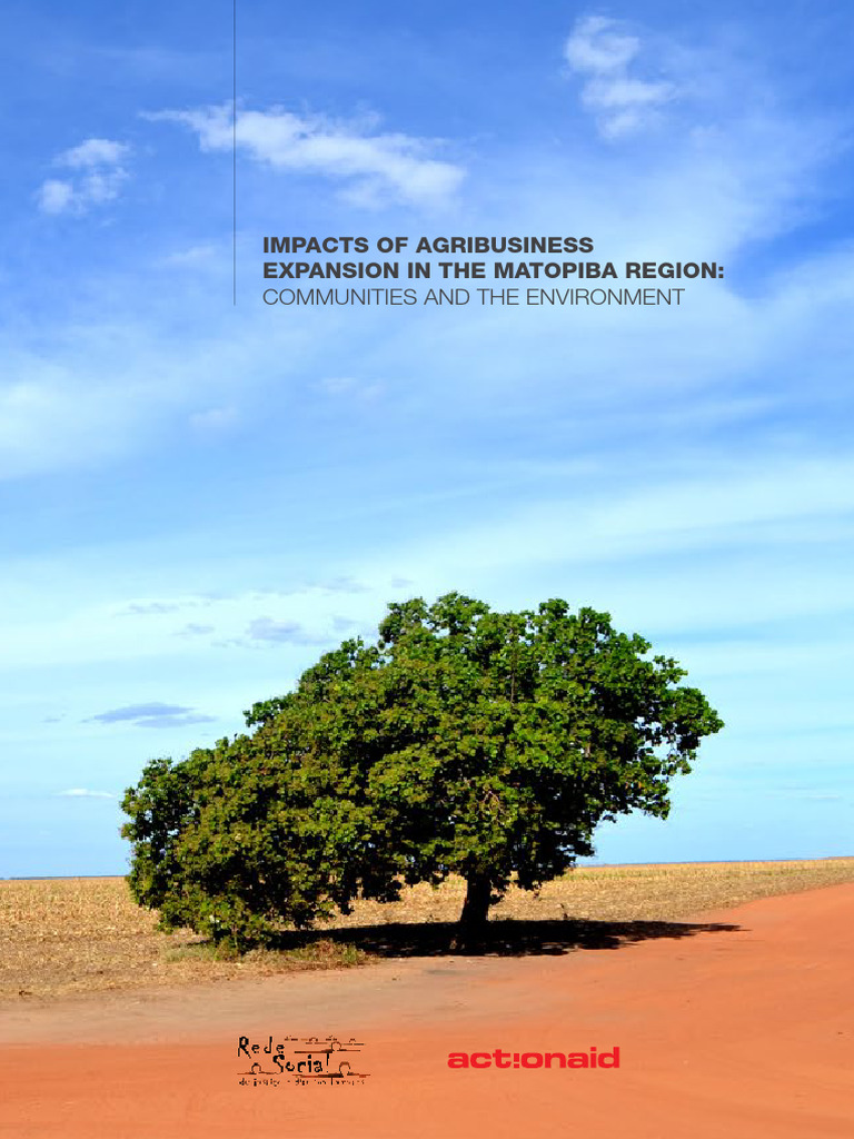 Agribusiness Impact in Matopiba Region | PDF | Brazil | Deforestation