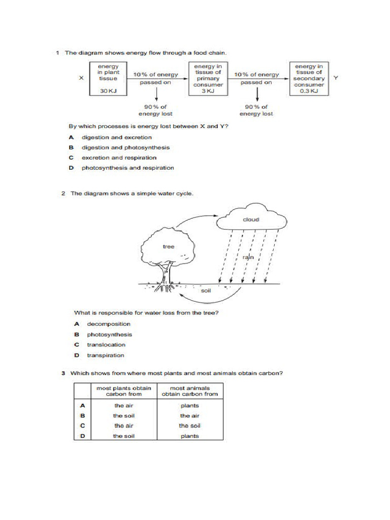 Biology P22 31-01-2025 QP | PDF