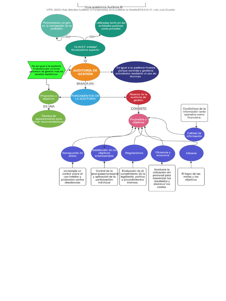 Foro. Auditoria3. Ibim. Resuelto | PDF