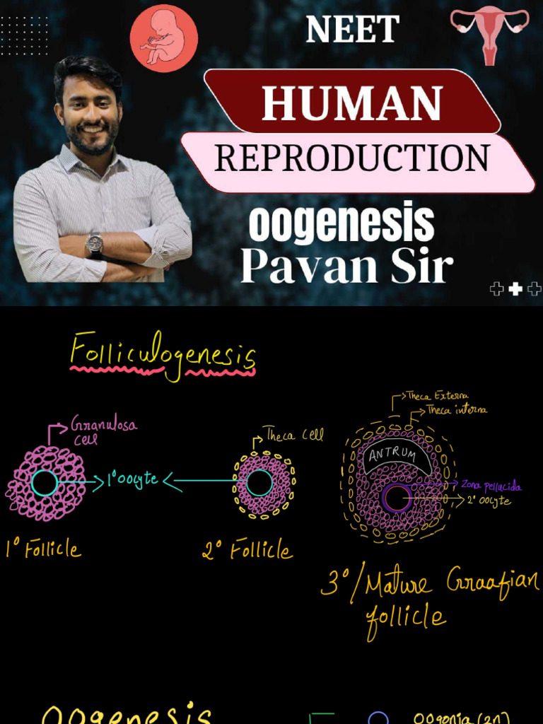 L - 5 Oogenesis | PDF