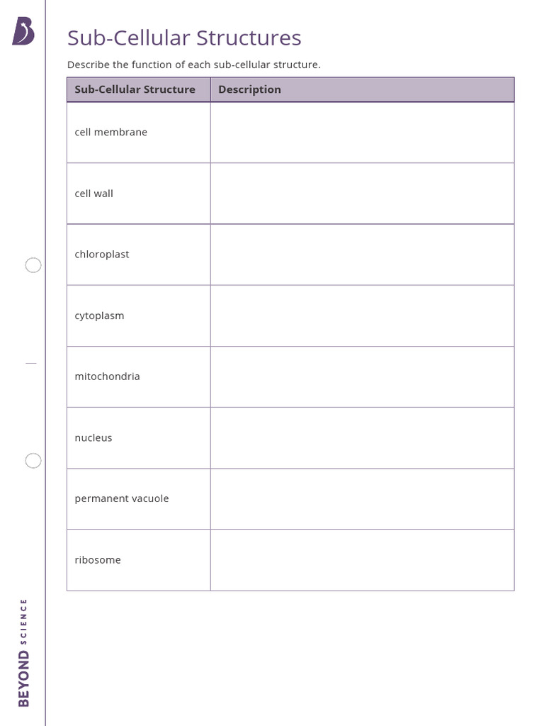 Describing Sub-Cellular Structures Worksheet | PDF