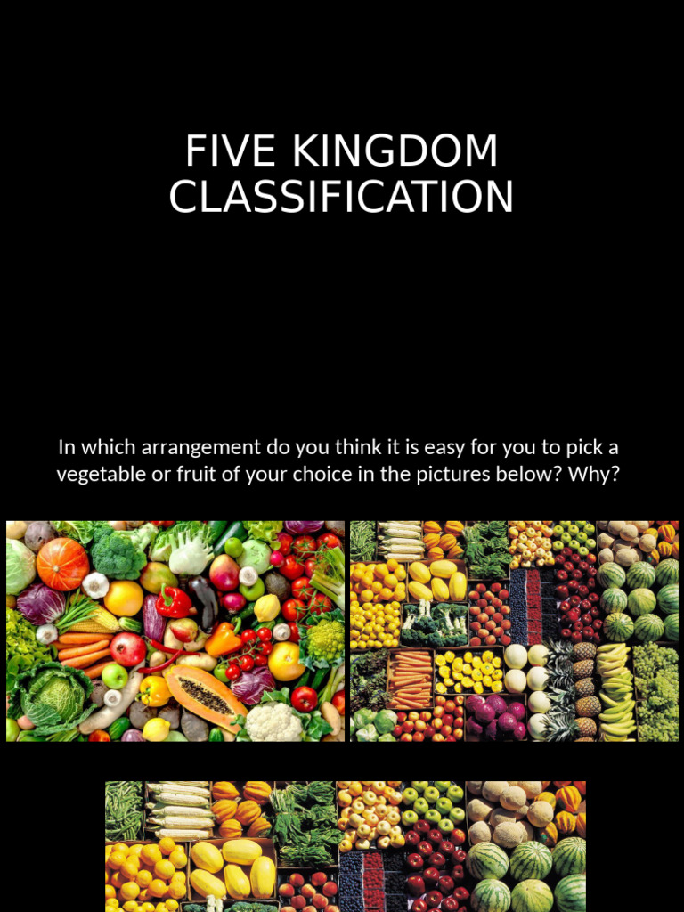 Five Kingdom Classification Overview | PDF | Cell (Biology) | Zoology