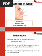 Normal Nose and Sinus Assessment | PDF | Human Nose | Otorhinolaryngology