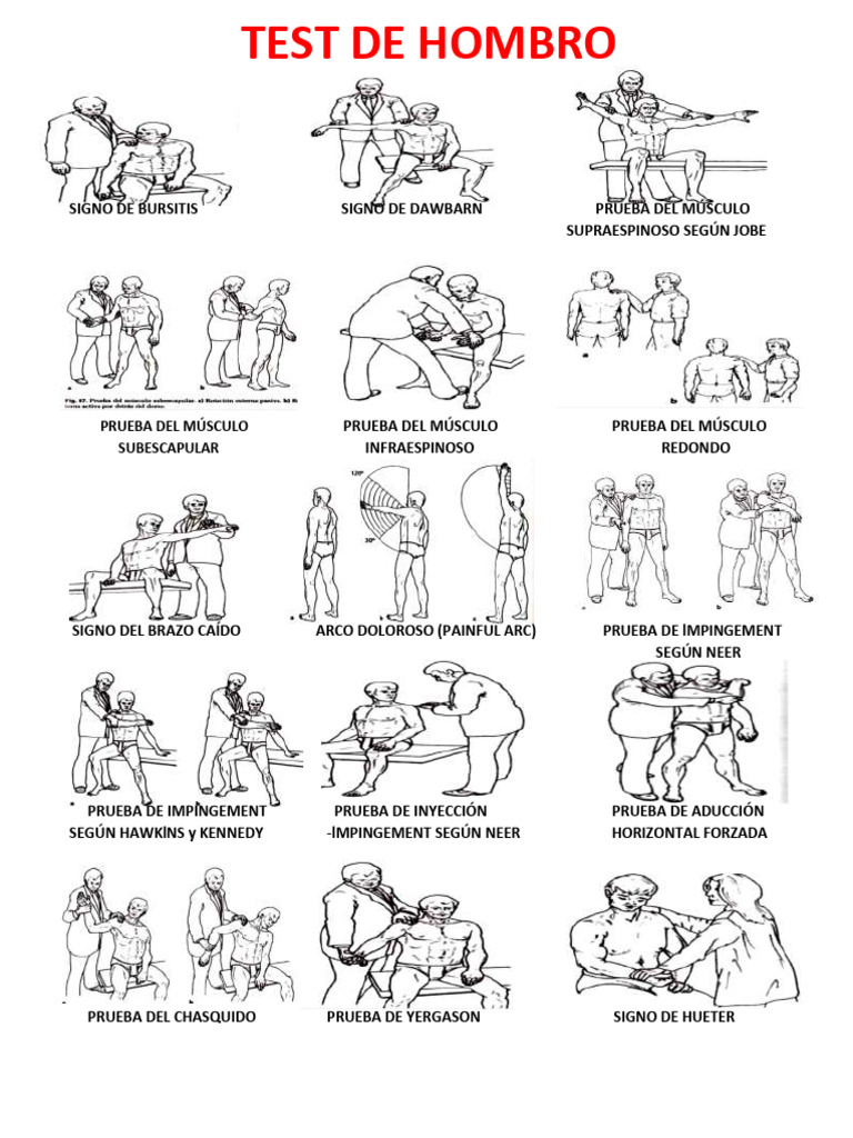 Test de Hombro | PDF