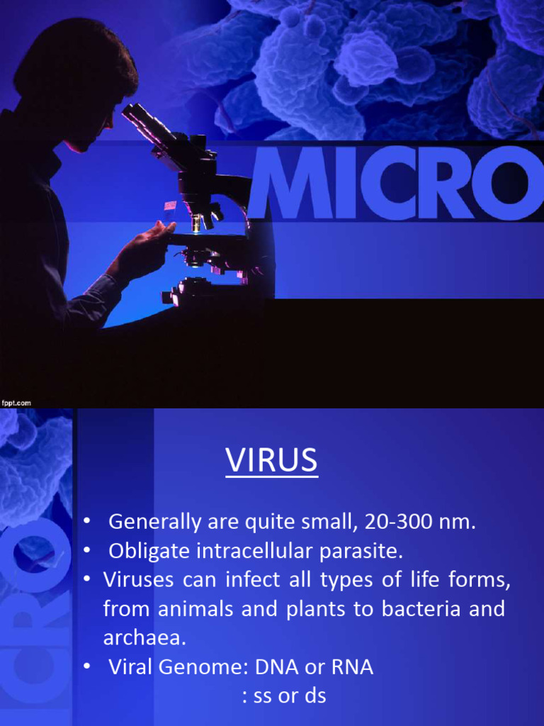 Virus Structure Replication Reproduction | PDF | Virus | Pathogen