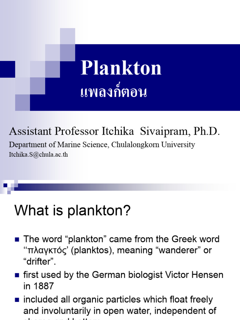 Intro Plankton | PDF
