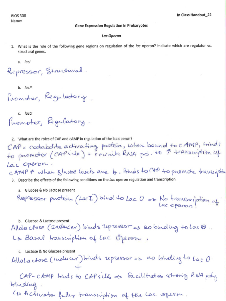 Class Handout 22 Key | PDF