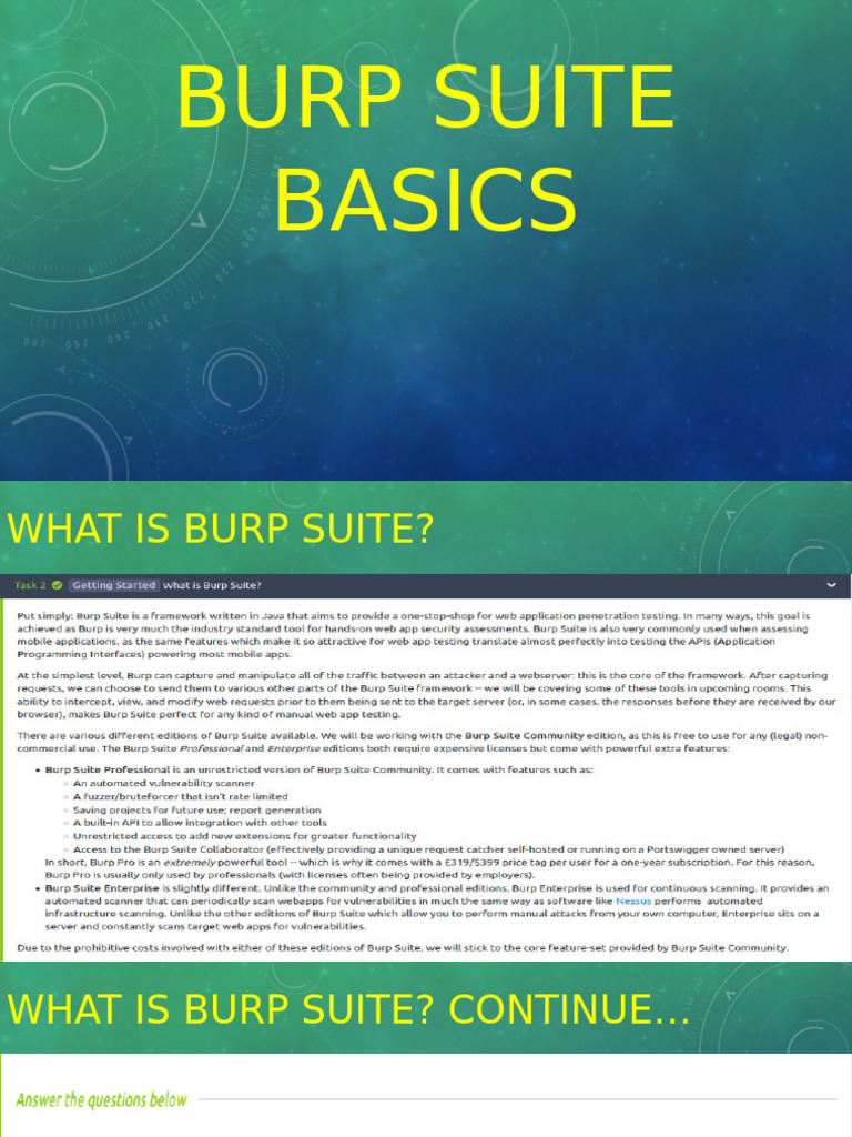 Burp Suite Basics Overview | PDF