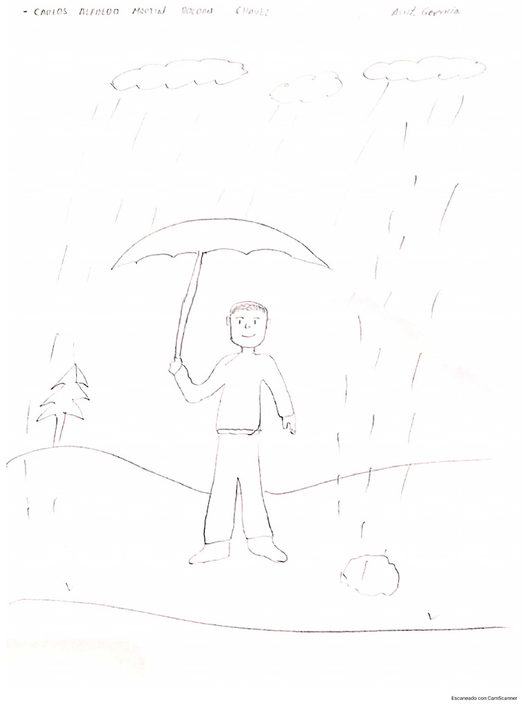 Carlos Roldan Chavez Asistente de Gerencia | PDF