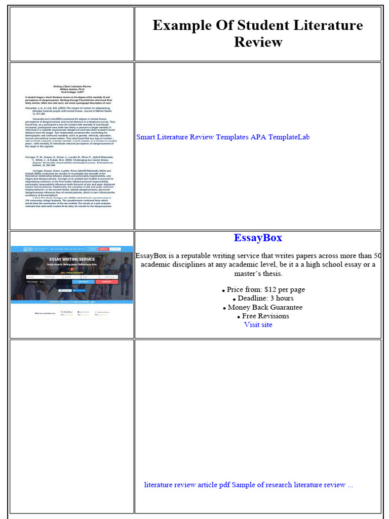 Example of Student Literature Review | PDF