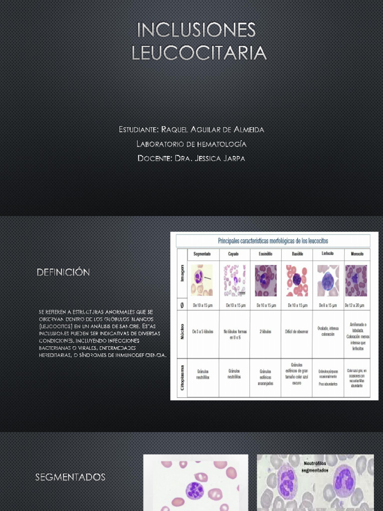 Inclusiones Leucocitarias en Hematología | PDF