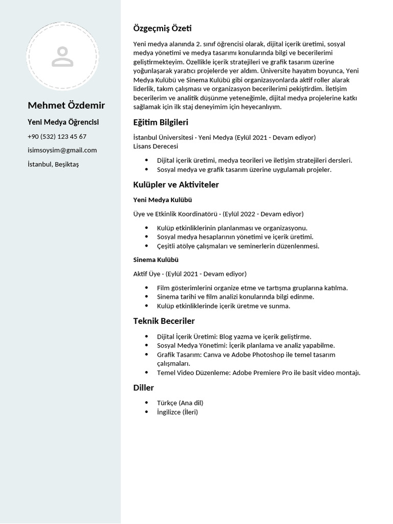 Ogrenci CV Ornegi | PDF