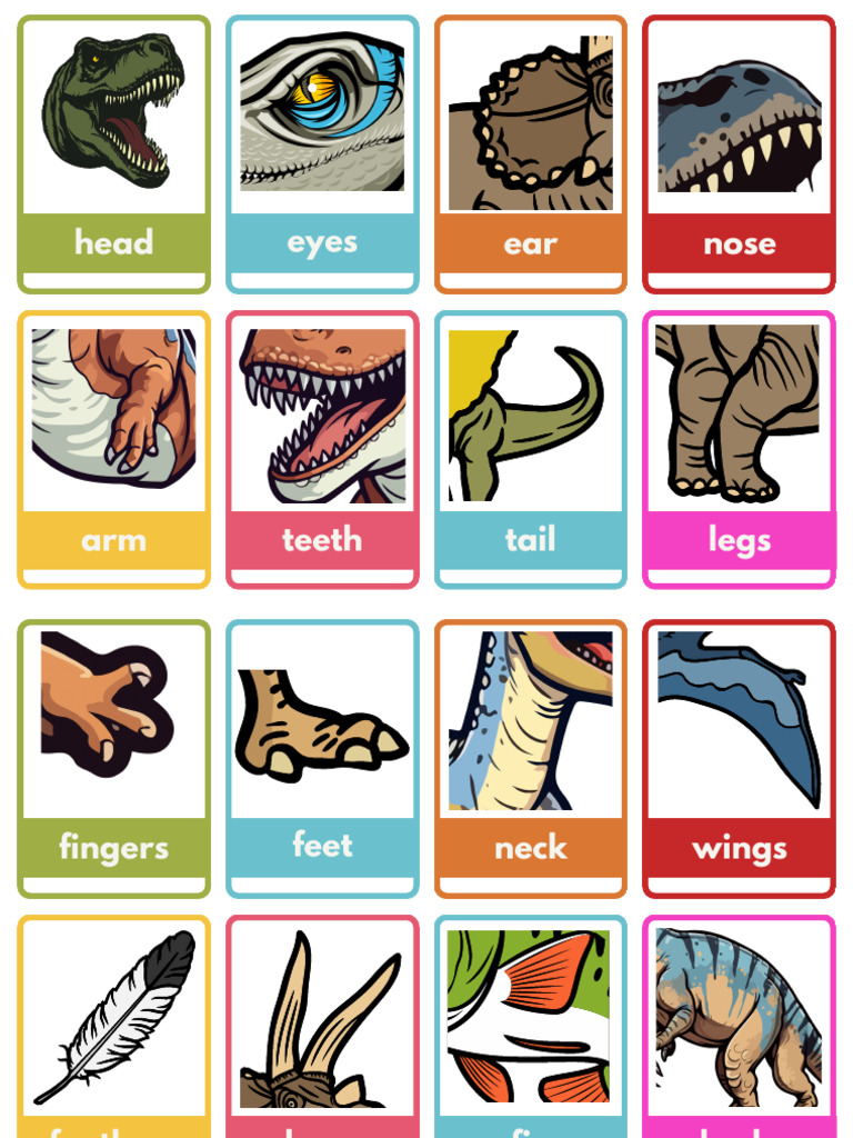 Science Parts of The Body Flashcards in Colorful Illustrative Style | PDF