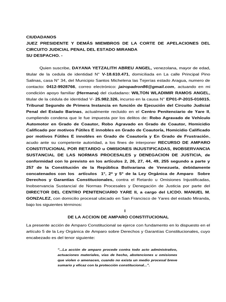 Amparo Constitucional | PDF | Derecho Constitucional | Ley procesal