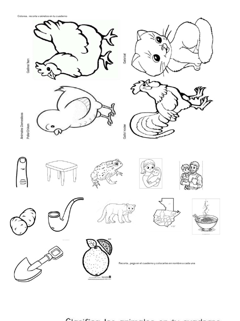 Tarea de La Semana | PDF