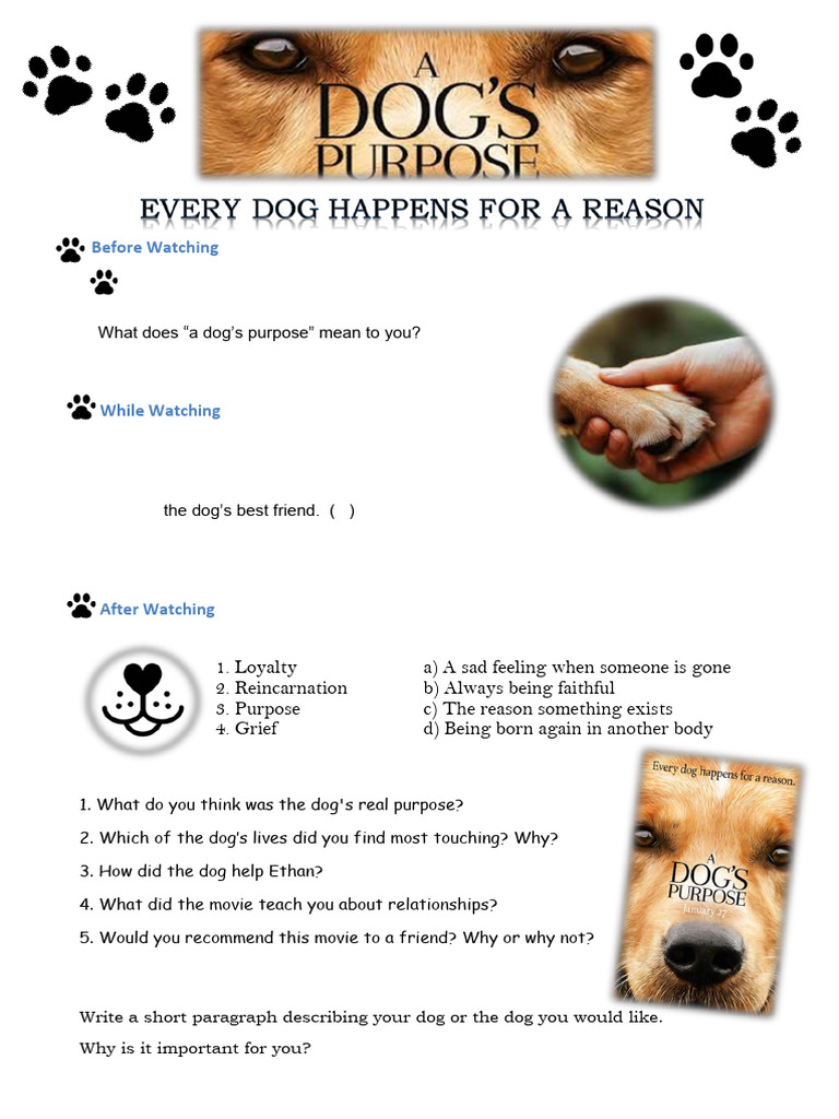 A Dogs Purpose Worksheet Ani | PDF