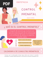 Carpeta Control Prenatal | PDF