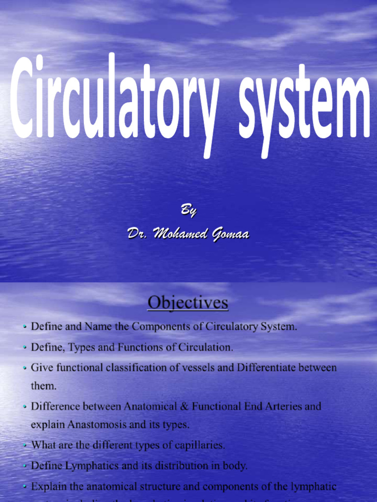 Anatomy of The Circulatory System | PDF | Circulatory System ...