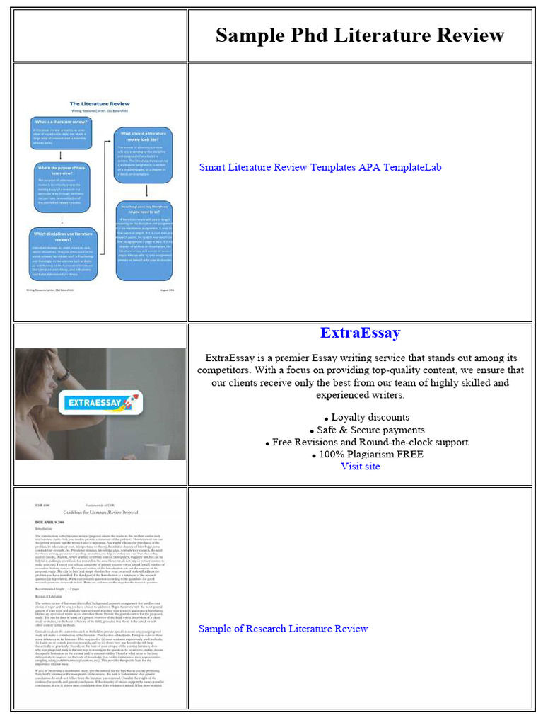 Sample PHD Literature Review | PDF | Thesis | Essays
