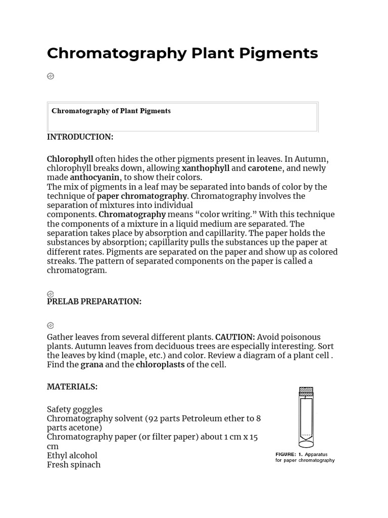 Chromatography of Plant Pigments | PDF | Chromatography