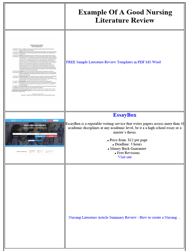 Example of a Good Nursing Literature Review | PDF | Essays | Nursing