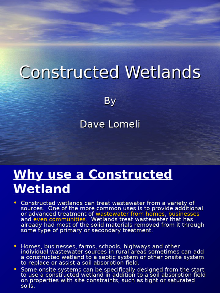 Types of Constructed Wetlands for Treatment | PDF | Wetland | Water
