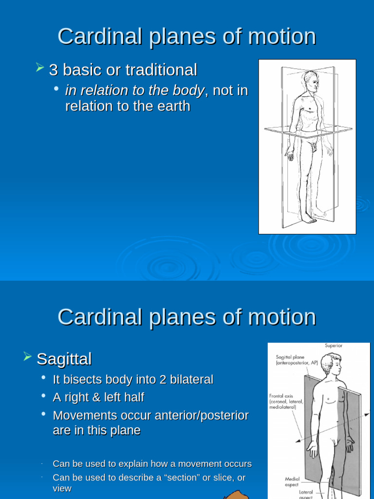 Body Orientation II - Planes and Movements - Intro To Bone Names | PDF ...