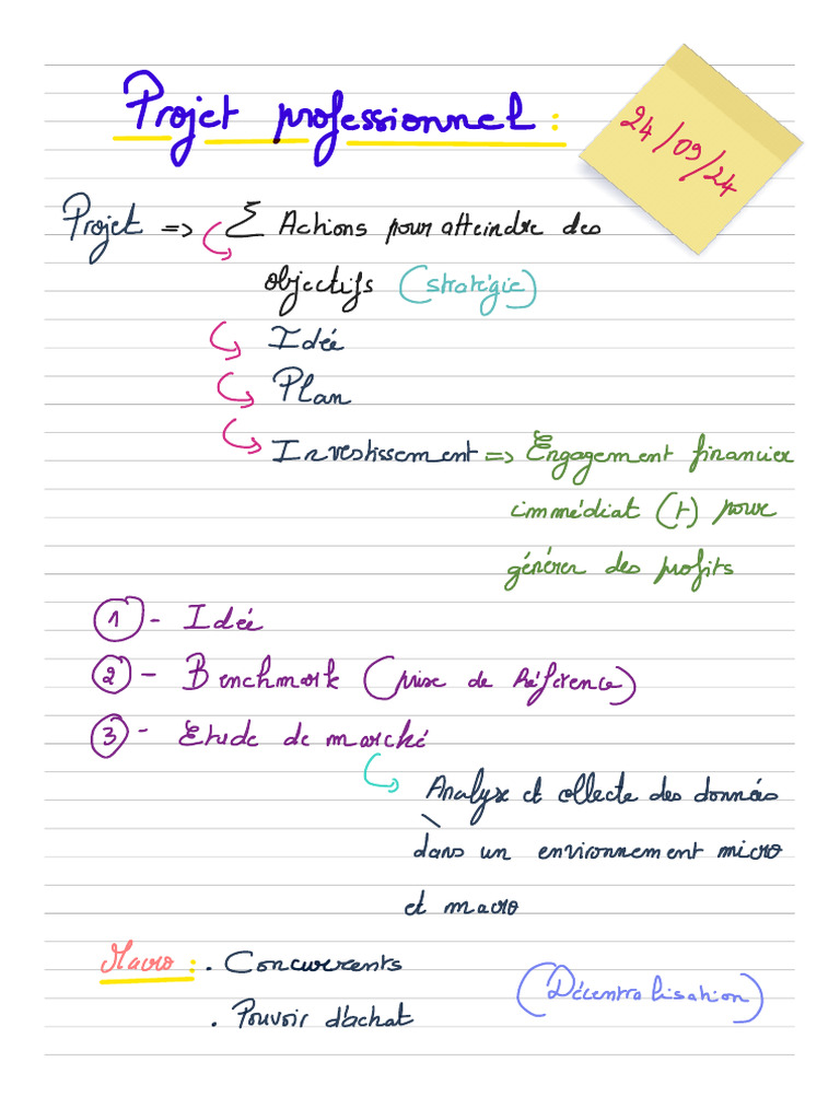 Projet Professionnel | PDF