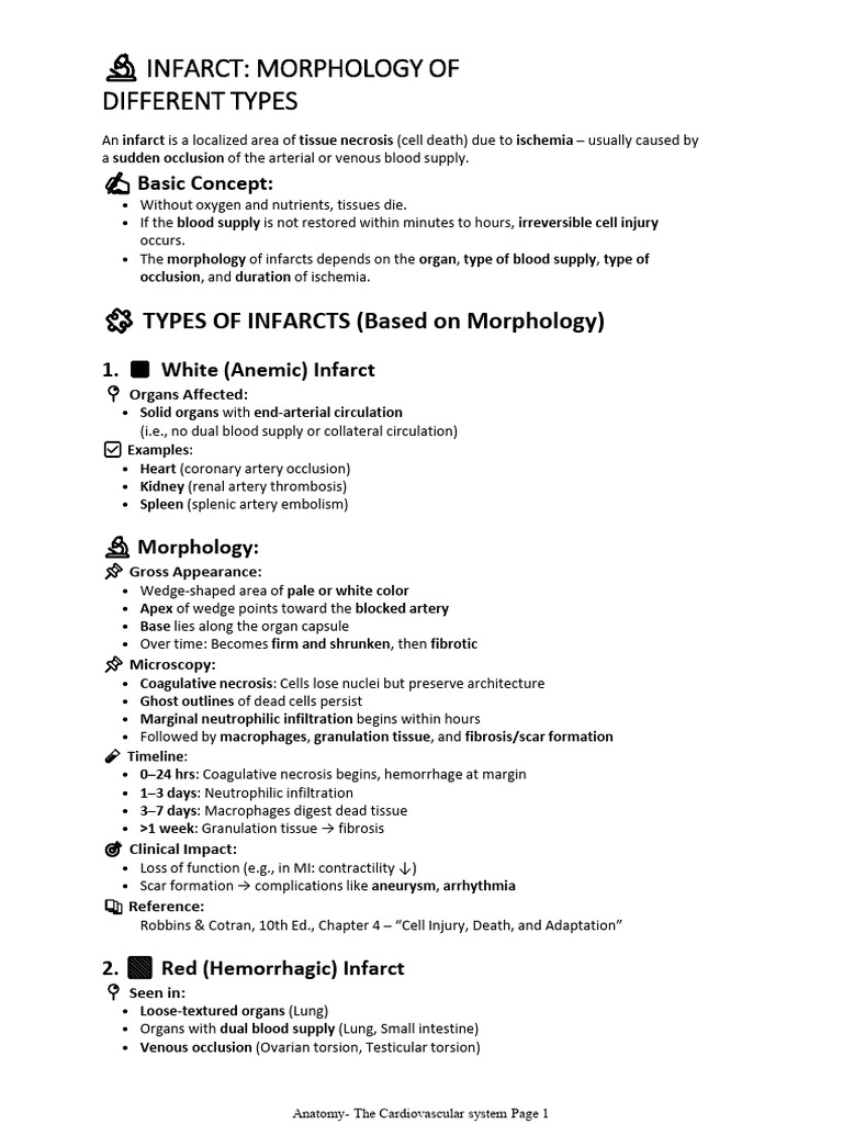 Types and Morphology of Infarcts | PDF | Ischemia | Stroke