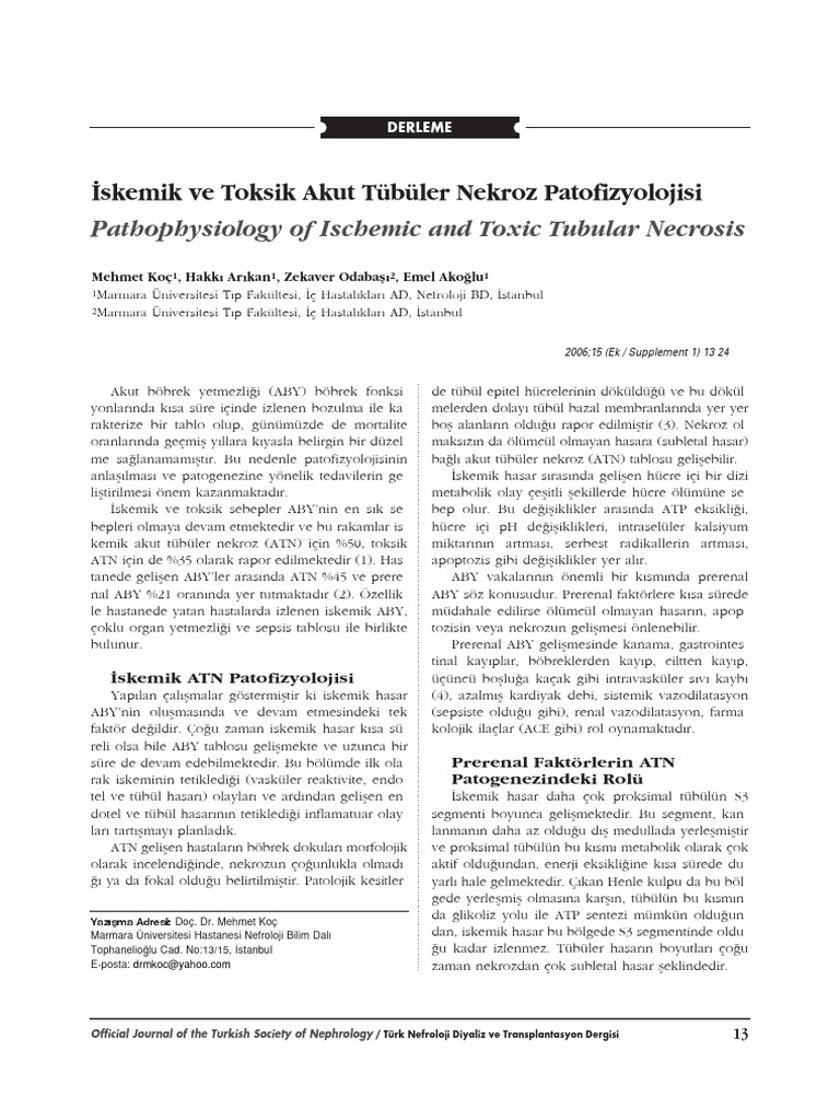 Skemik Ve Toksik Akut Tübüler Nekroz Patofizyolojisi: Pathophysiology ...