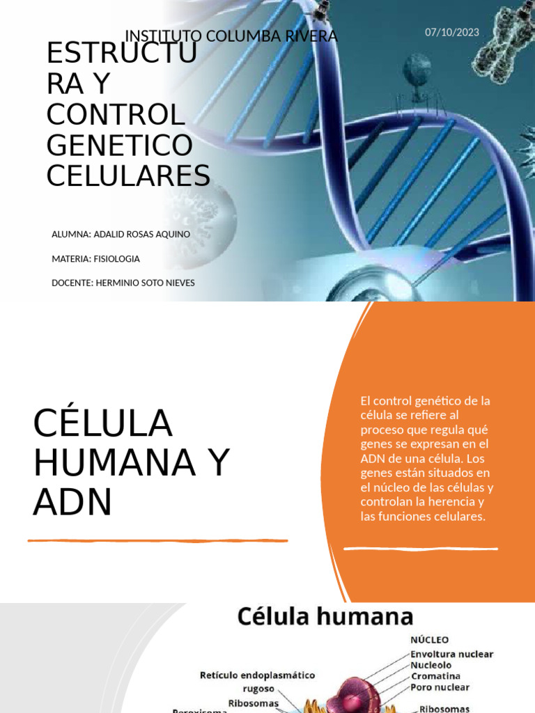 Control Genético en Células Humanas | PDF
