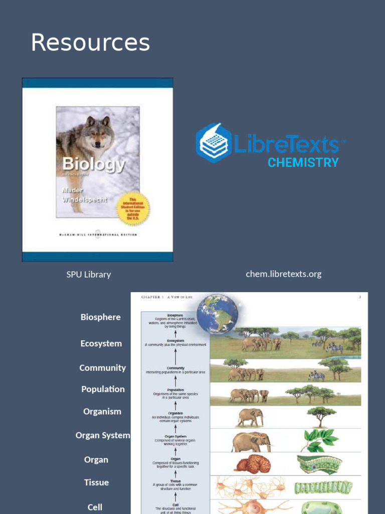 1.2 The Chemistry of Life Wenesday 21 Feb | PDF | Chemical Bond ...