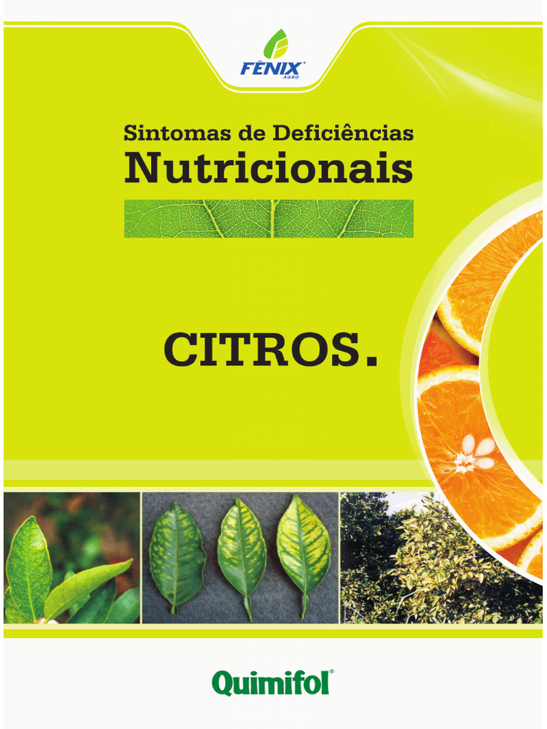 Deficiências Nutricionais em Citros | PDF | Folha