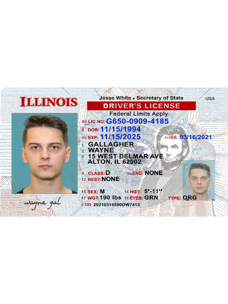 Usa Drivers License PSD Template | PDF