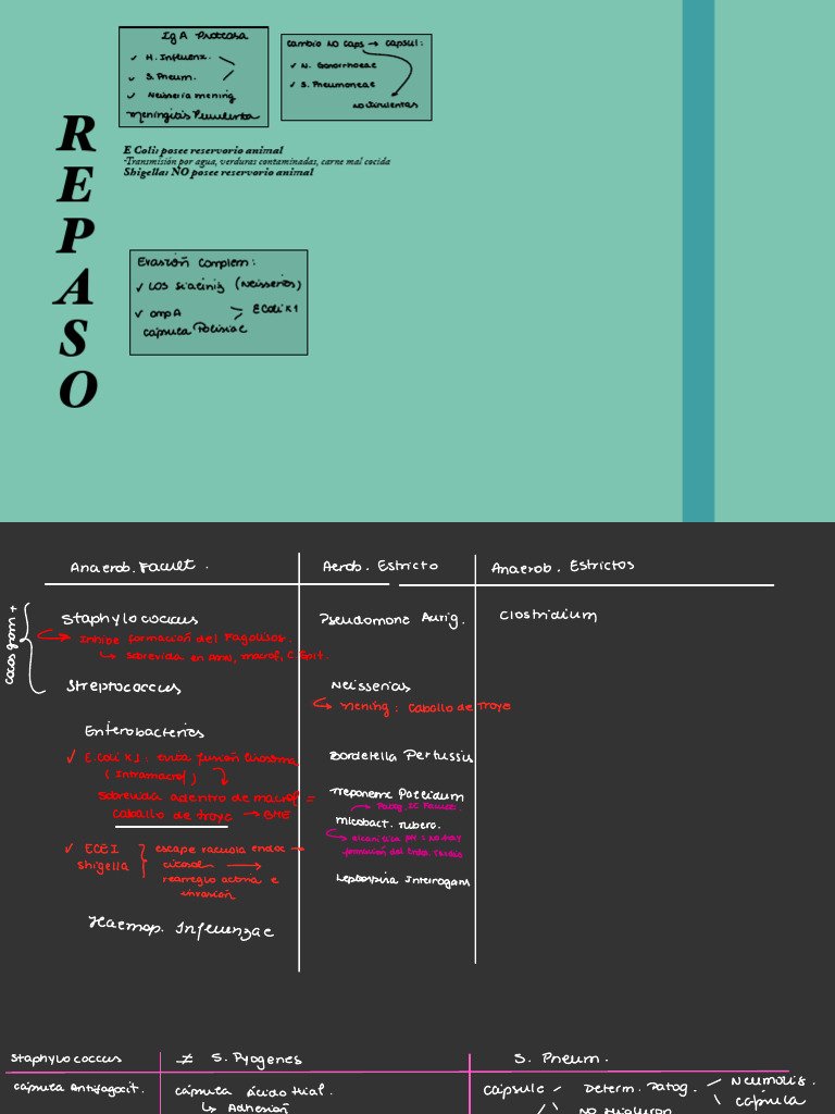 Repaso Micro 1º Parcial | PDF