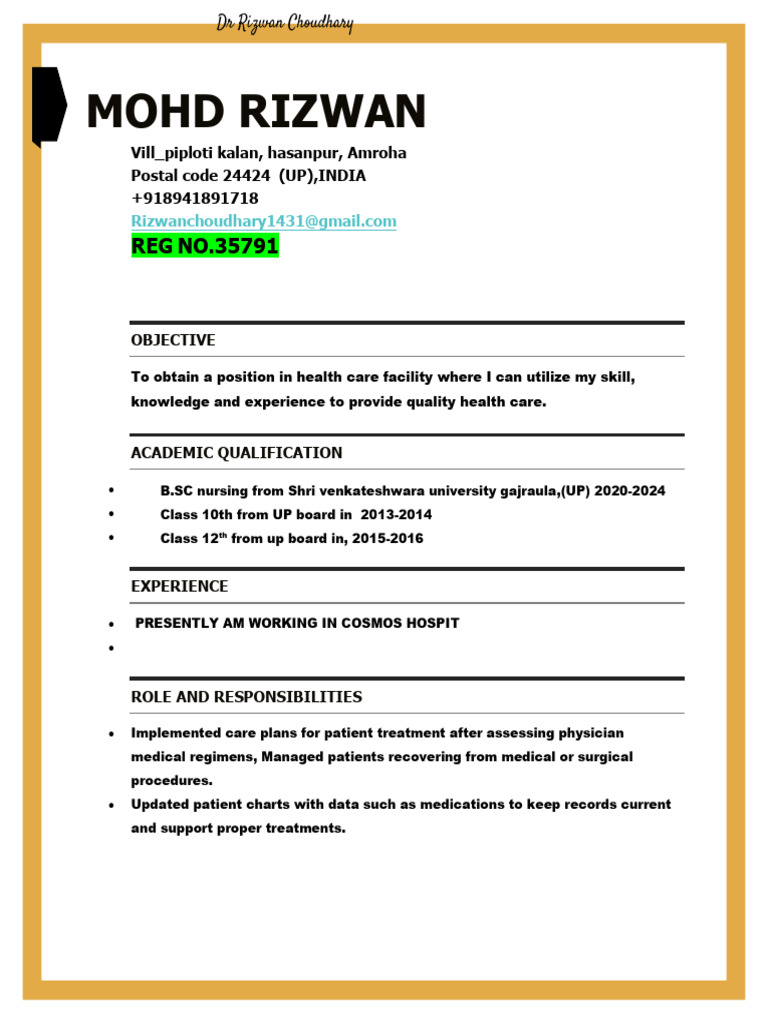 Mohd Rizwan Cv | PDF