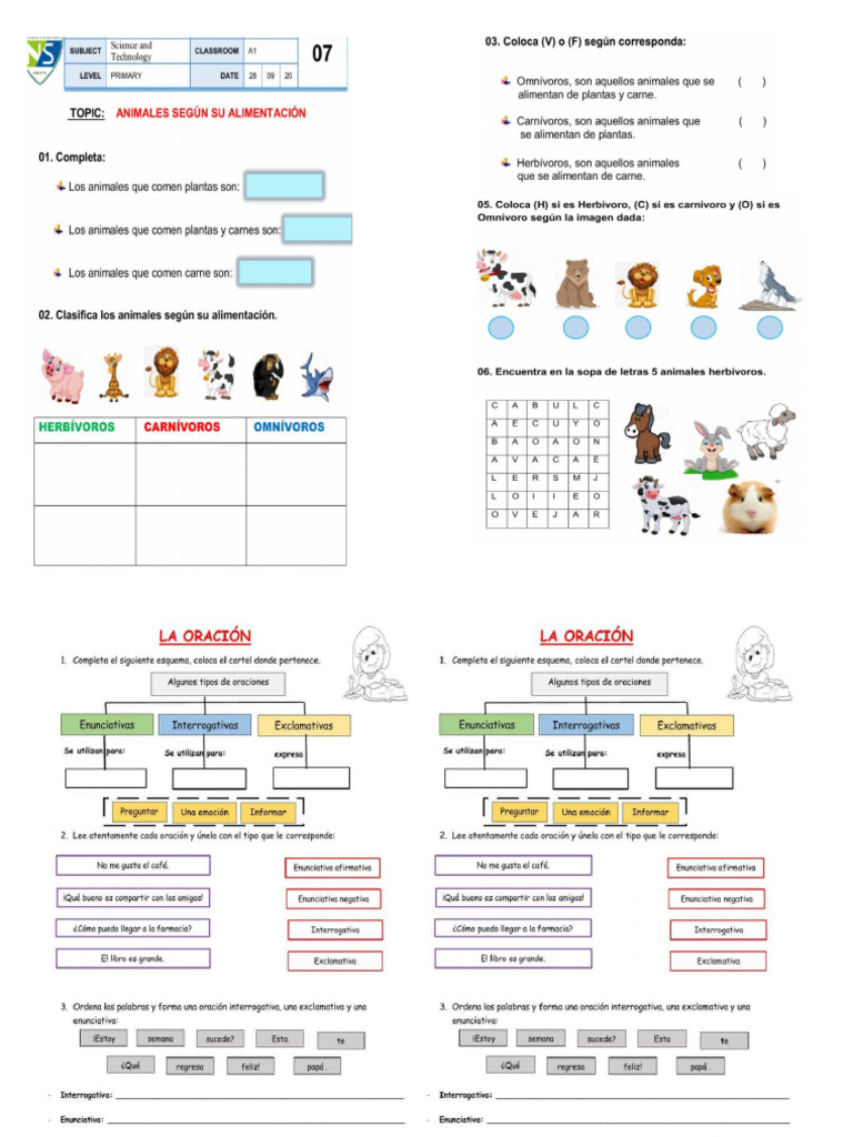 Actividad Segun Por Su Alimentacion Los Animales | PDF